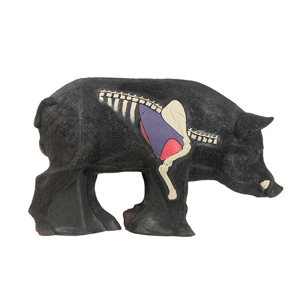 Feral Boar Vitals 3D Archery Target by Wildcrete - Archery Park NZ ...