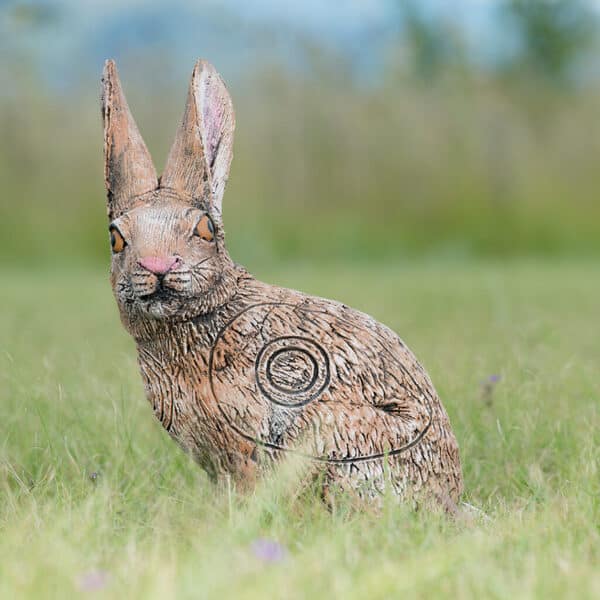 Feral Cottontail Rabbit 3D Archery Target by Wildcrete - Archery Park ...